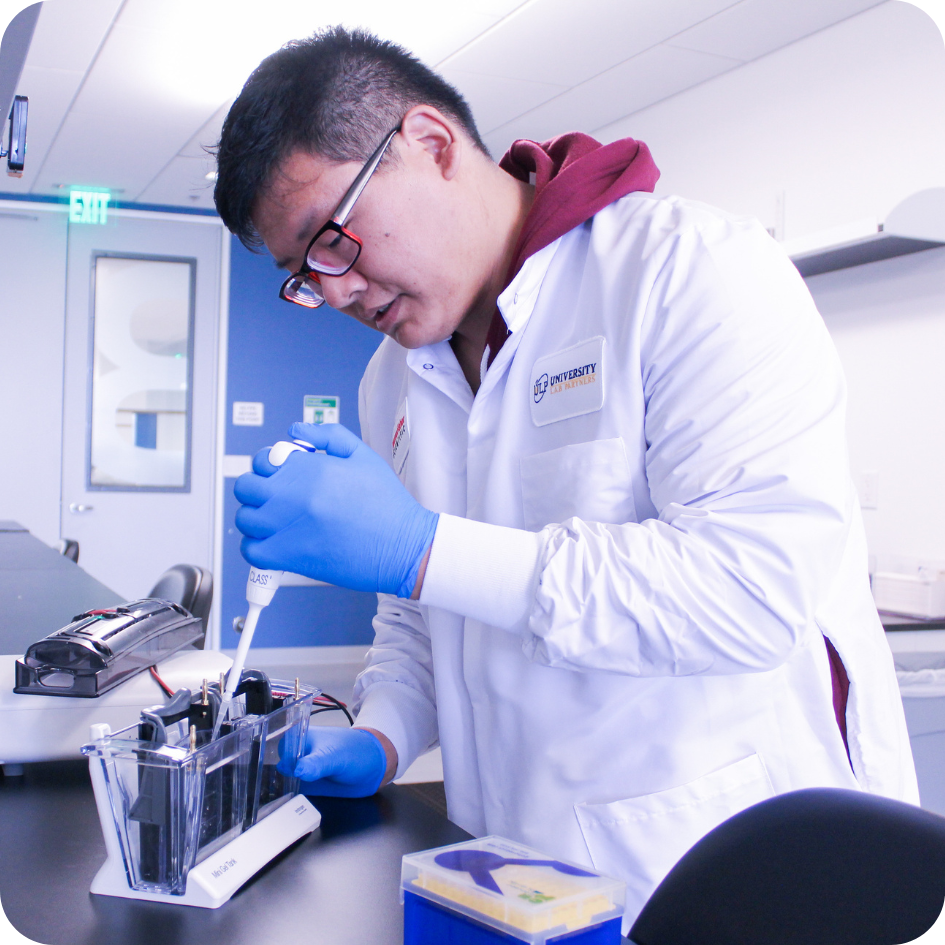 I-CREATE | Accelerator Network Hub | ULP