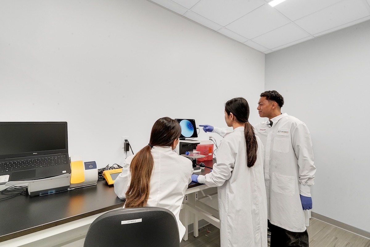 Home - University Lab Partners