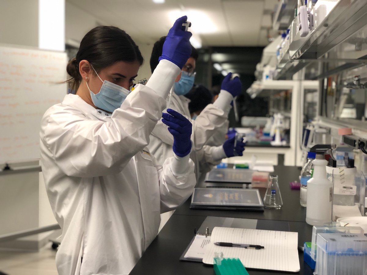 Molecular Biology Laboratory Techniques – Training Course | ULP Events